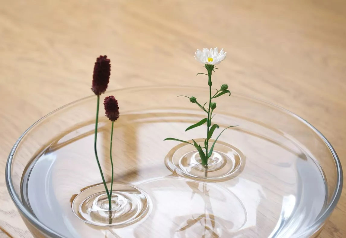 漂浮的漣漪：Floating Vase/RIPPLE—由日本oodesign公司精心設計的漂浮小花器！ | 創意王GO開站慶，超派國際素材攏底加！